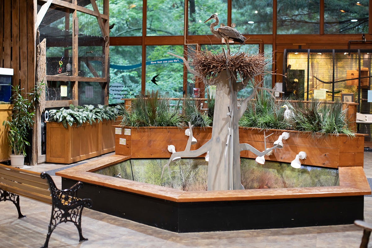 Watkins Nature Center - Park and Recreation - Prince Georges County MD