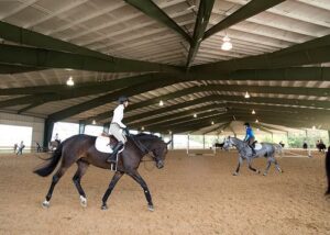 Prince George's Equestrian Center and The Show Place Arena - Park and ...